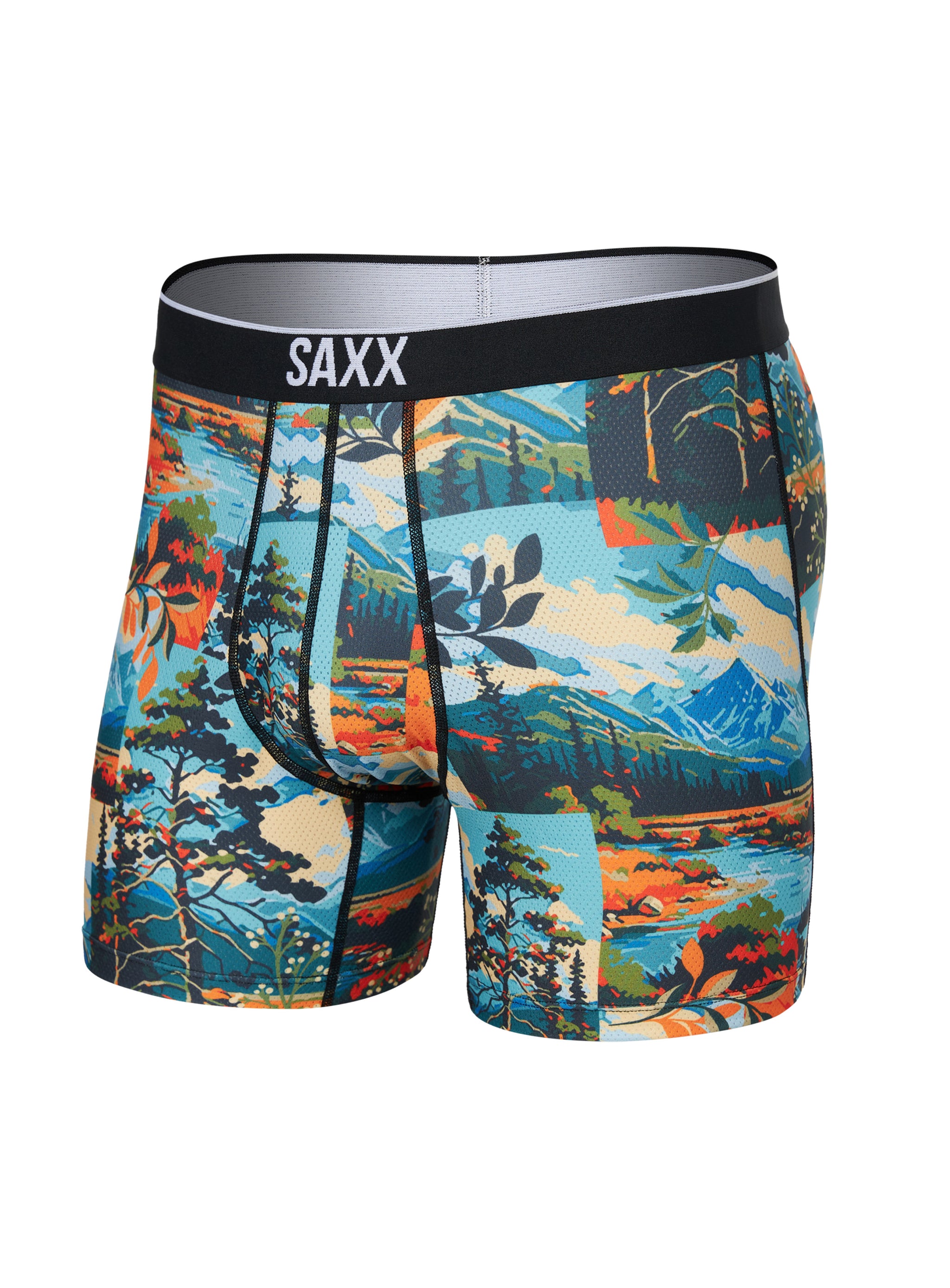Sous-vêtement boxeur imprimé 'Printed Landscape' pour homme - Saxx